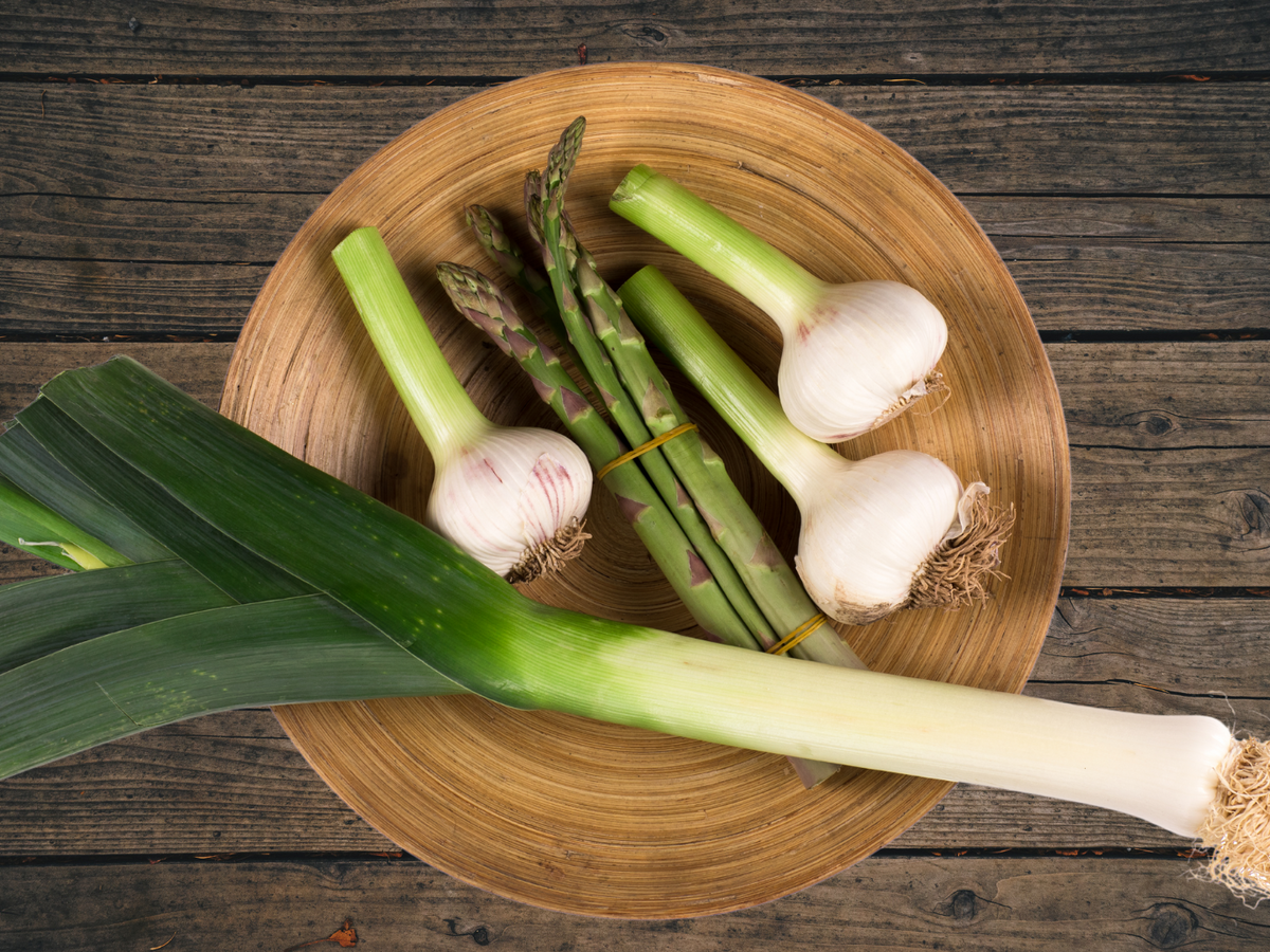 Pro40 and Supporting Gut Health – Nutreat Australia